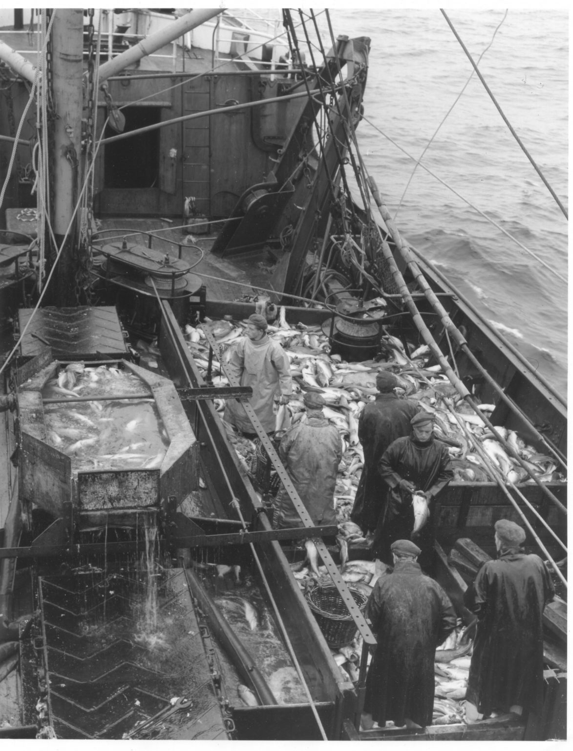 A Day in the Life of a Trawlerman – St. Andrews Dock Heritage Park ...